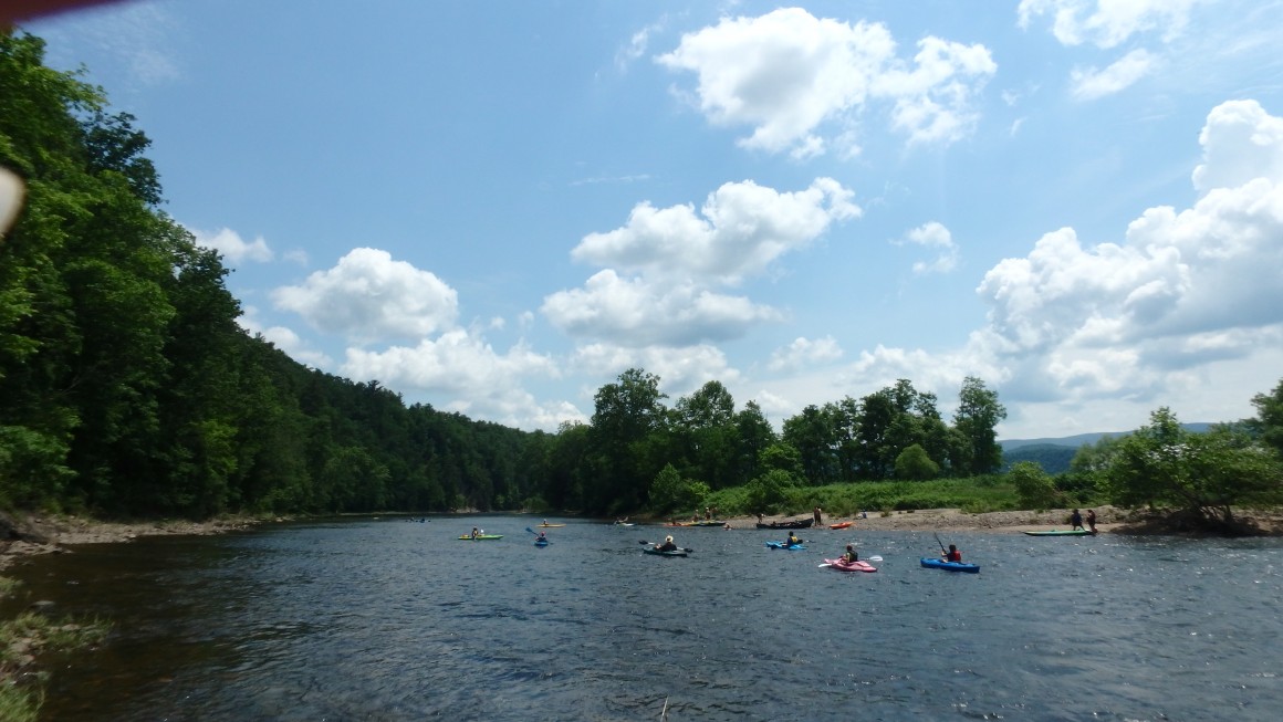 Friends of the Cheat